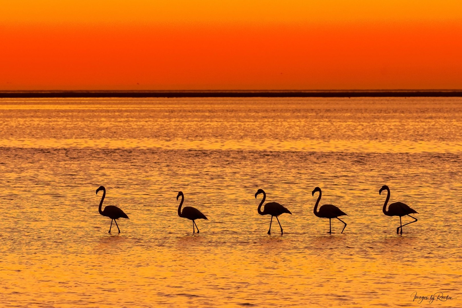 Fine Art – Images by Reuben